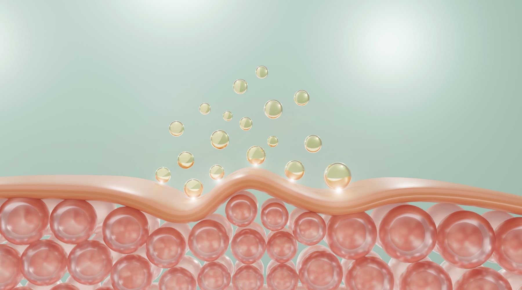 6 Key Nutrients to Boost Your Collagen Production – RnA ReSet